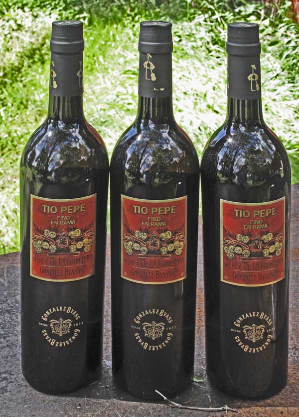 Gonzales Byass Tio Pepe Fino En Rama sherry | Roland’s Wine of the ...
