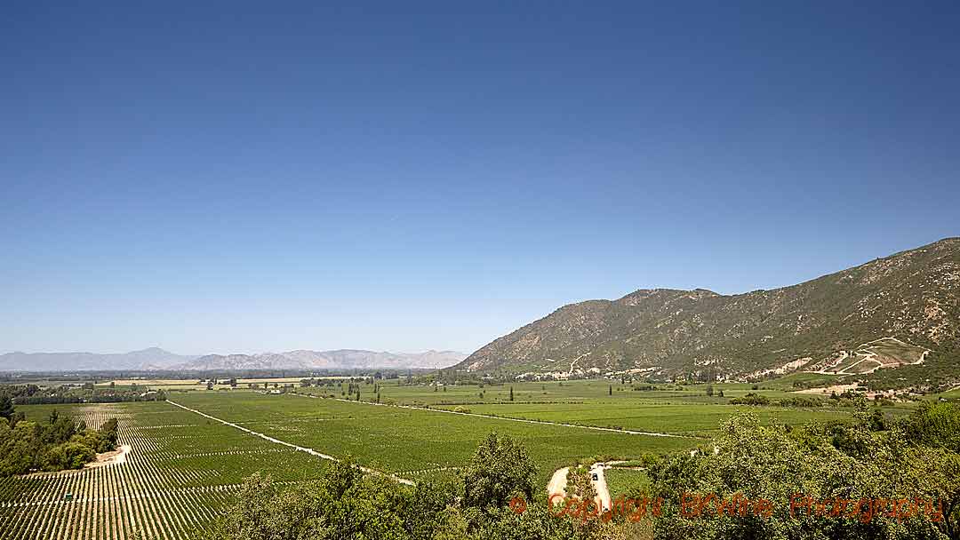 Lapostolle and Clos Apalta, Chilean wines with a French touch | Britt ...