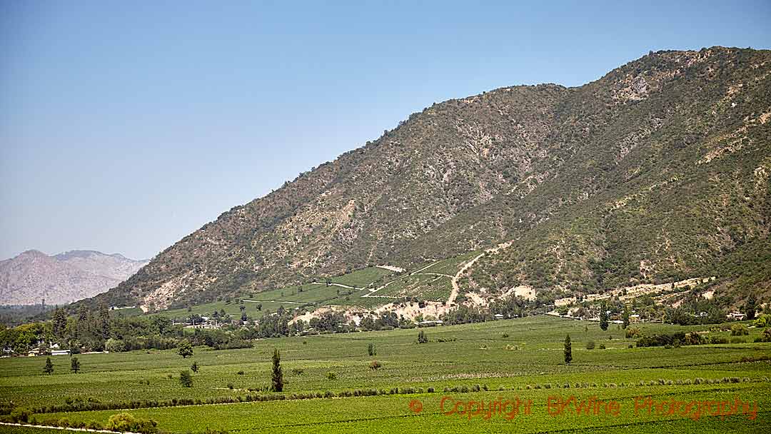 Lapostolle and Clos Apalta, Chilean wines with a French touch | Britt ...