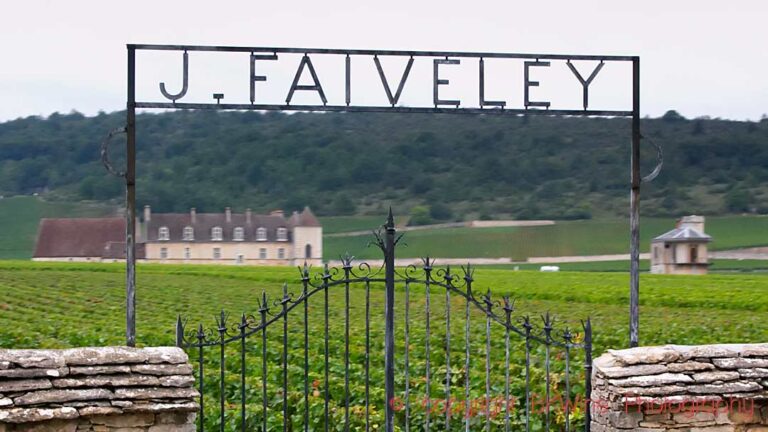 The richest people in France who are also vineyard owners | Per on ...