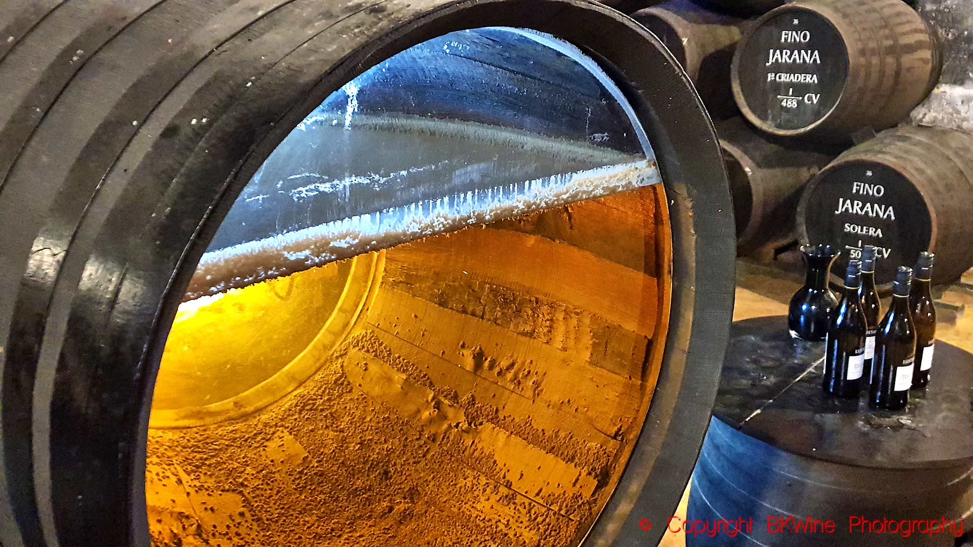 It is time to rediscover Sherry, the unique Spanish wine | Britt on ...