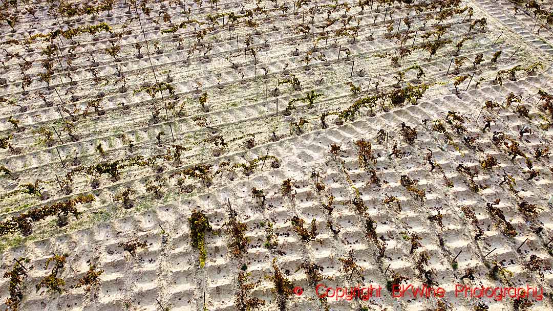 It is time to rediscover Sherry, the unique Spanish wine | Britt on ...