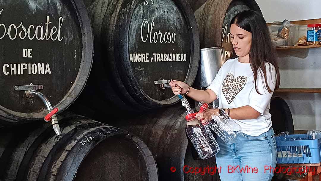 It is time to rediscover Sherry, the unique Spanish wine | Britt on ...